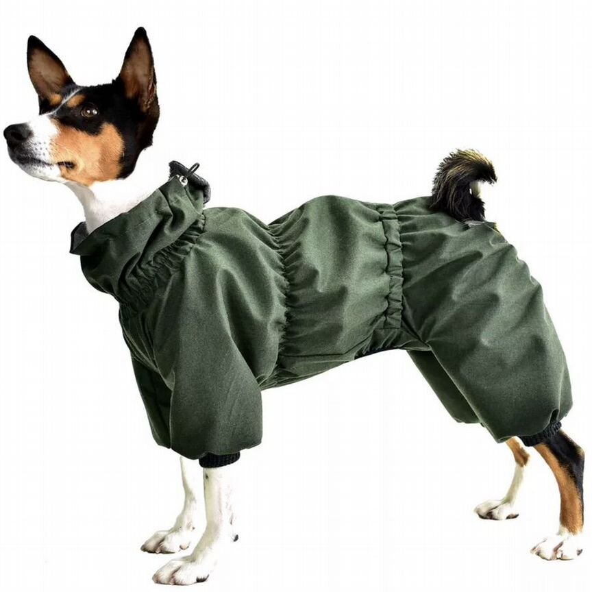 Комбинезон для средней собаки (мальчик)