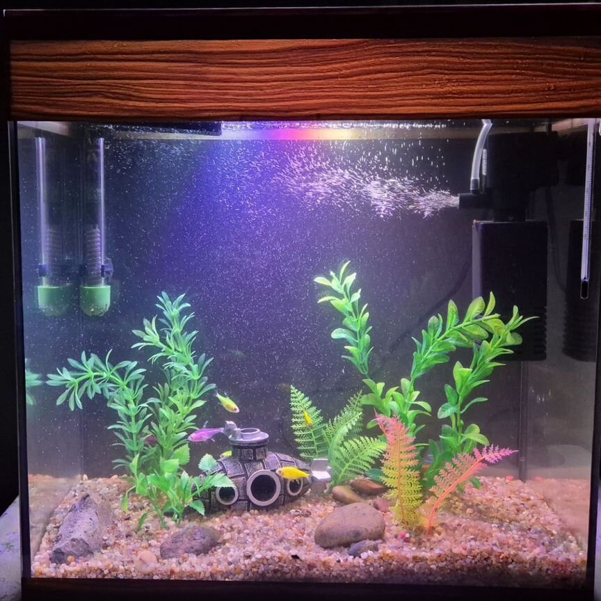 Аквариум готовый с рыбками
