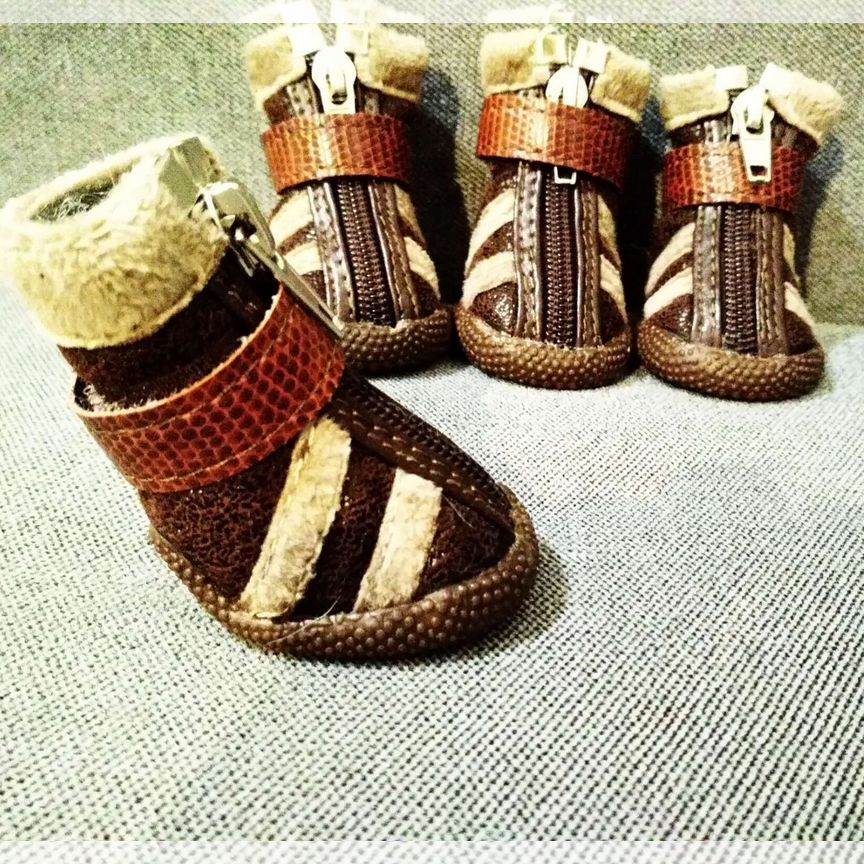 Обувь для шпицов, той-терьеров, йорков