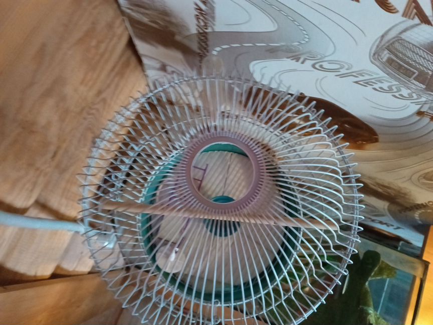 Клетка для попугая