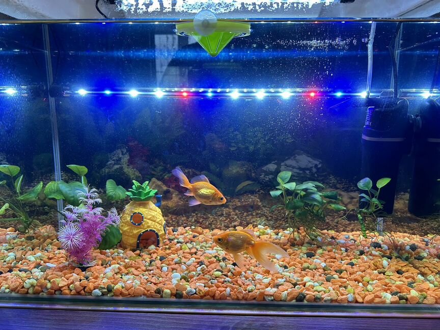 Аквариум 72л