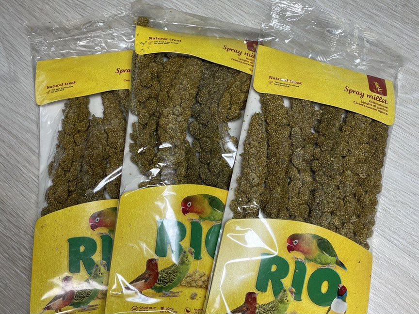 Рио Сенегальское просо в колосьях