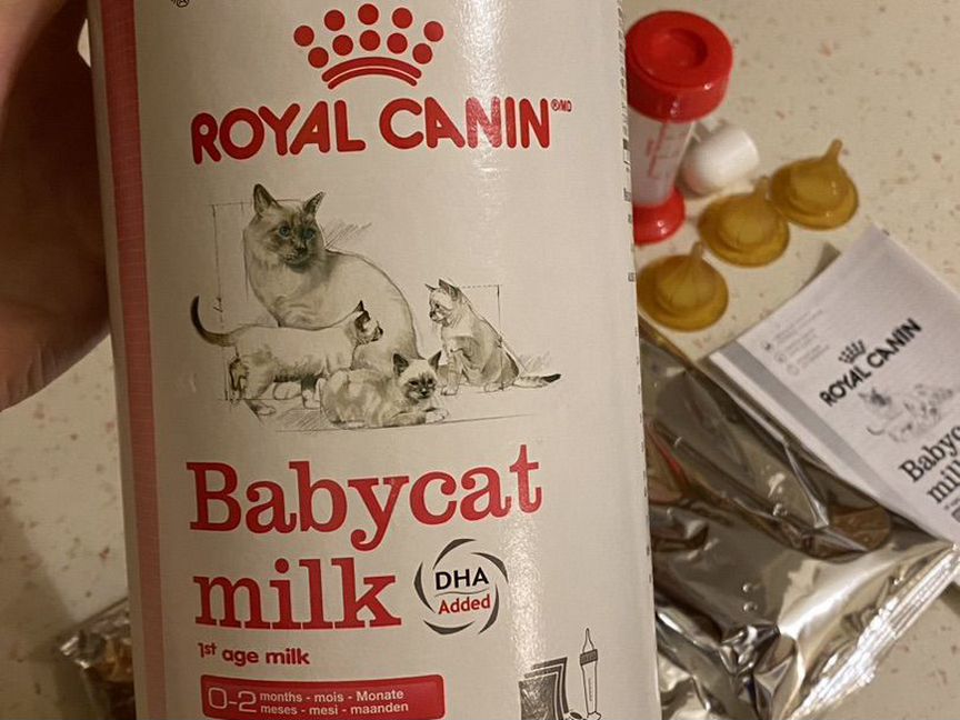 Молоко доя котят royal canin babycat milk