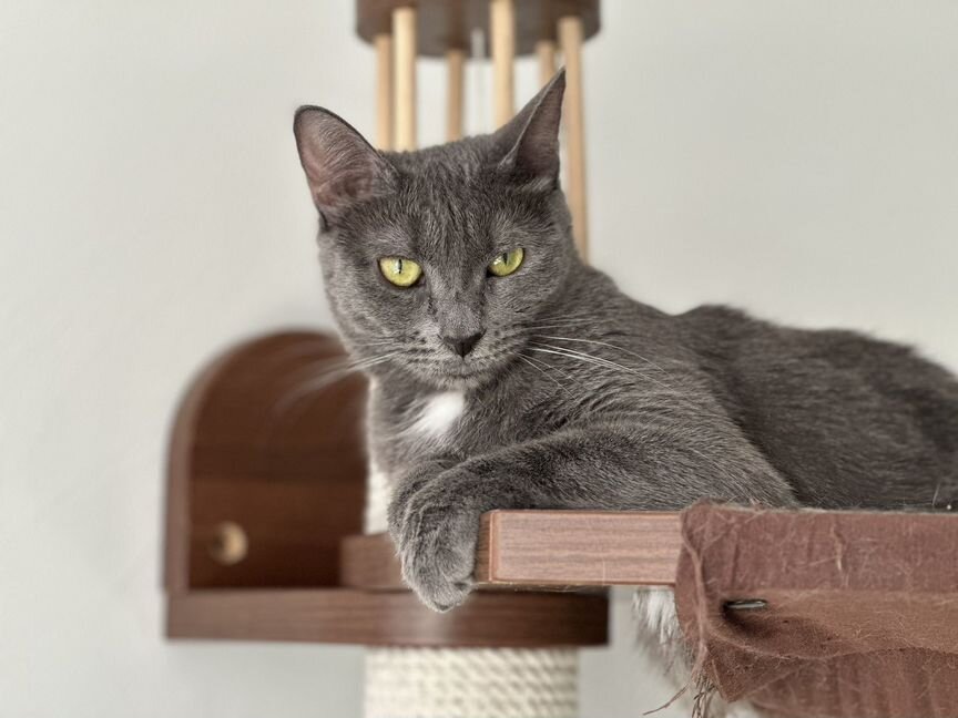 Лиза 2 года ищет заботливую семью