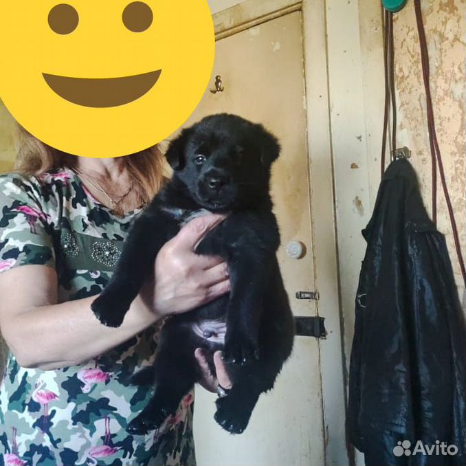 Отдаётся прекрасный мальчик в добрые руки