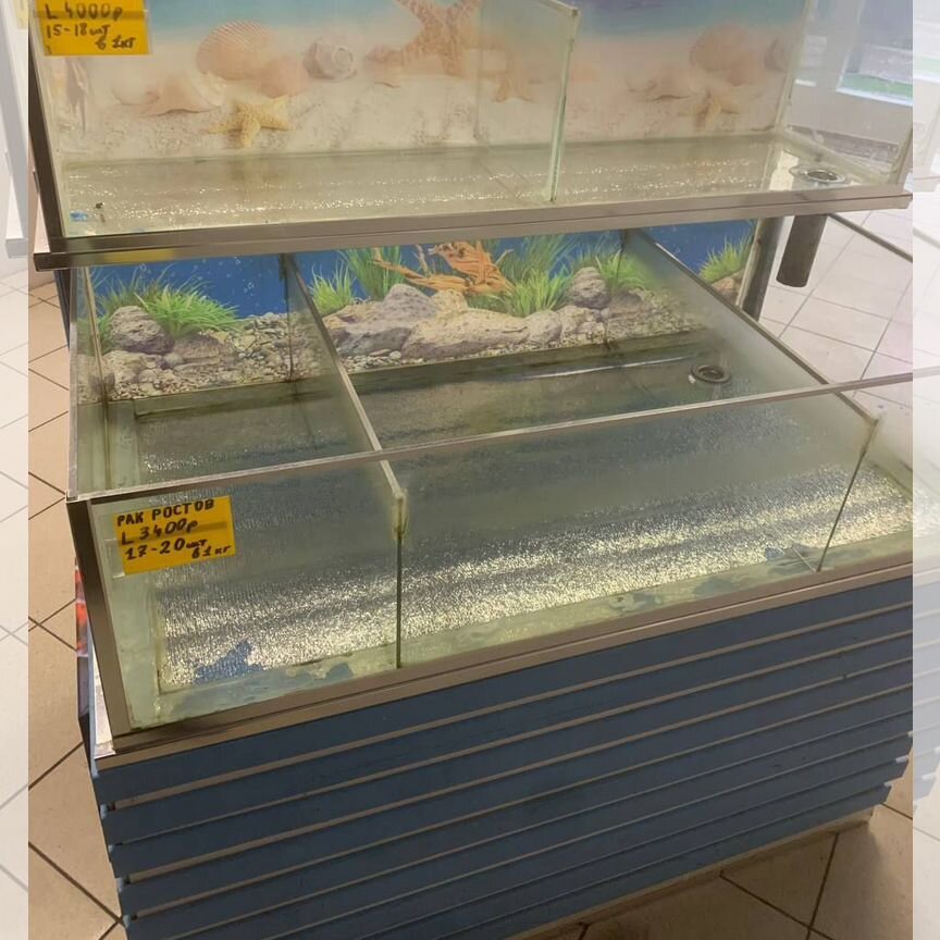 Аквариум