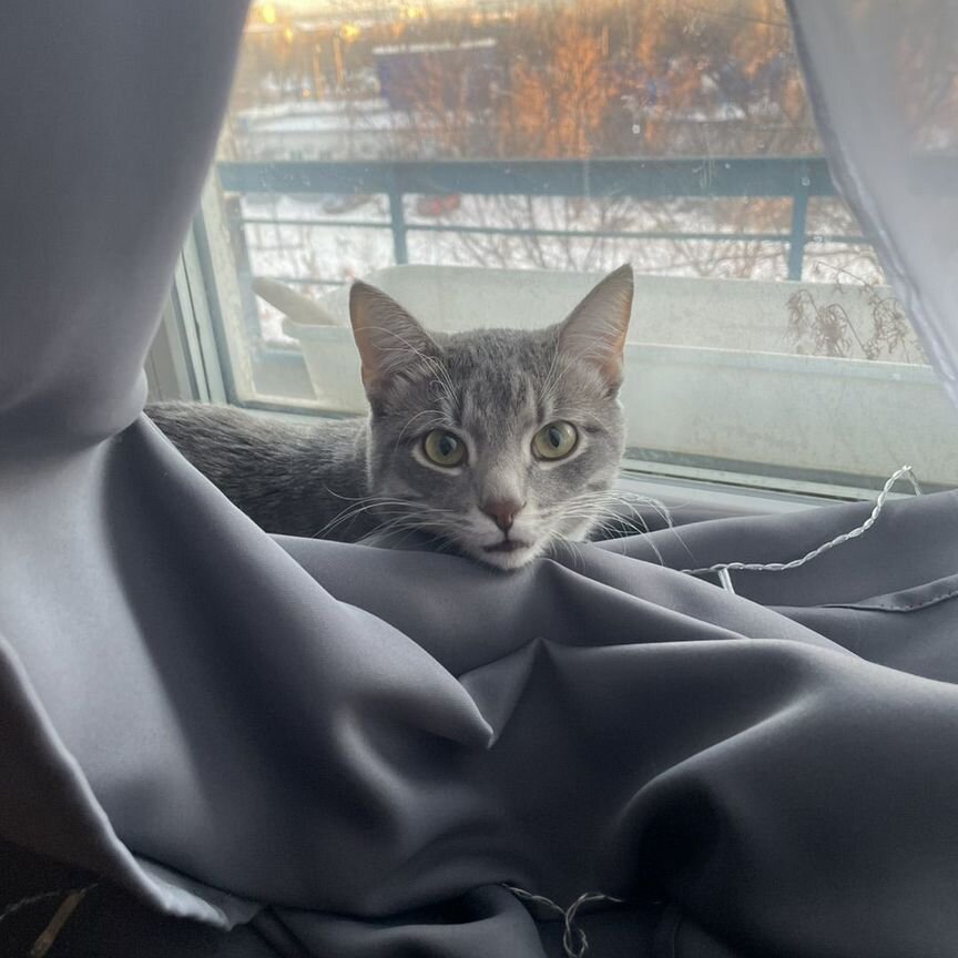 Котик для вязки