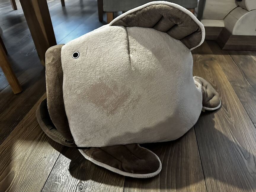 Кошачий домик