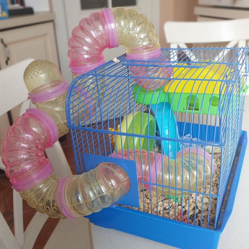 Клетка для хомячка - сирийского, джунгарского