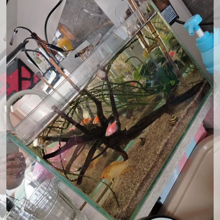 Аквариум с фильтром бу