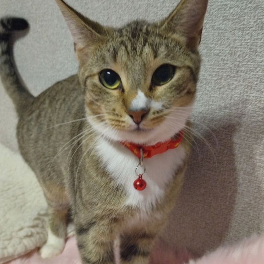 Самая нежная девочка