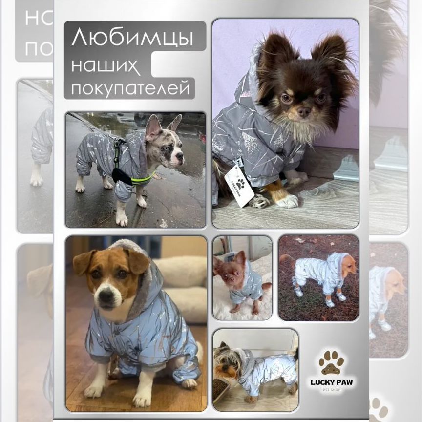 Комбинезон для собаки