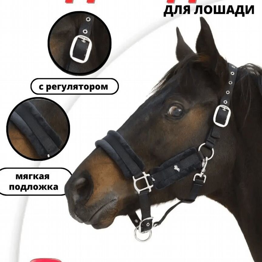 Недоуздок для лошади