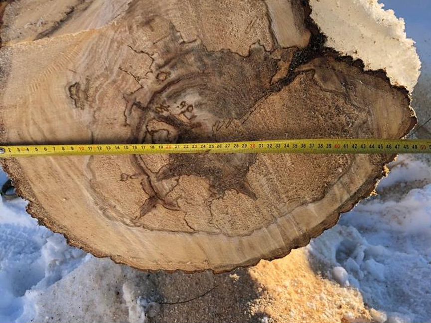 Колода осиновая для пчел