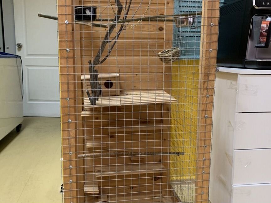 Клетка большая