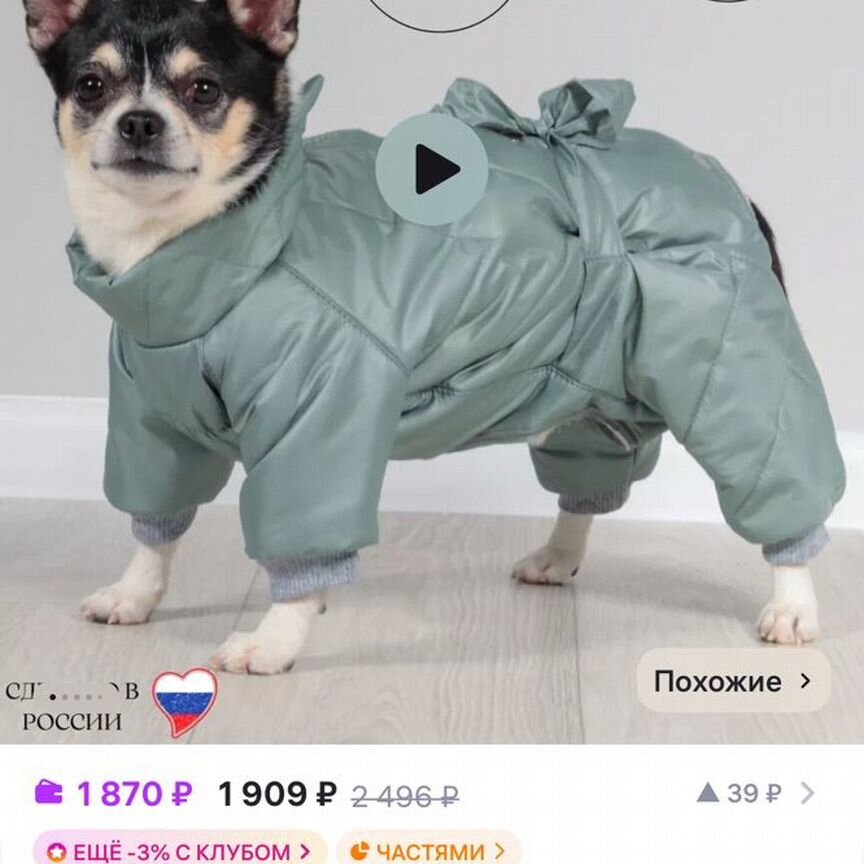 Одежда для собак мелких пород