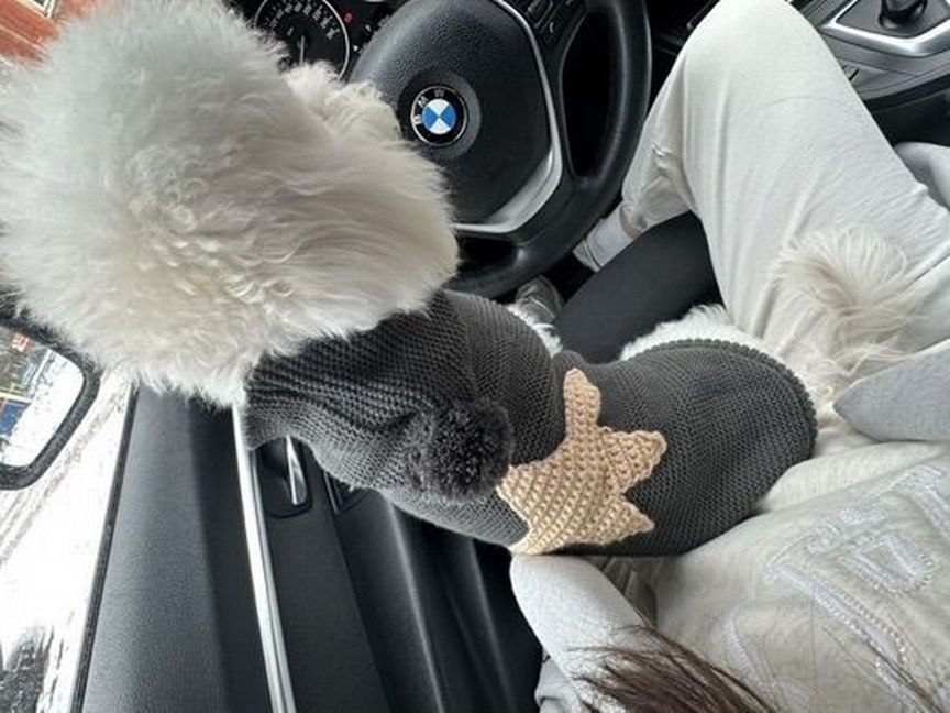 Свитер с капюшоном для животных