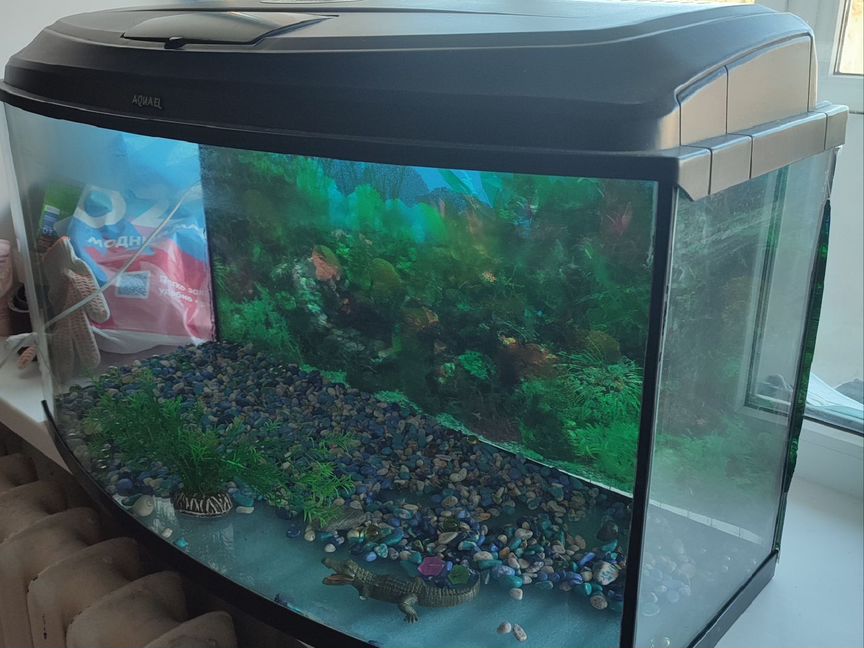 Аквариум