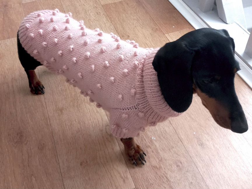 Свитер для собаки таксы