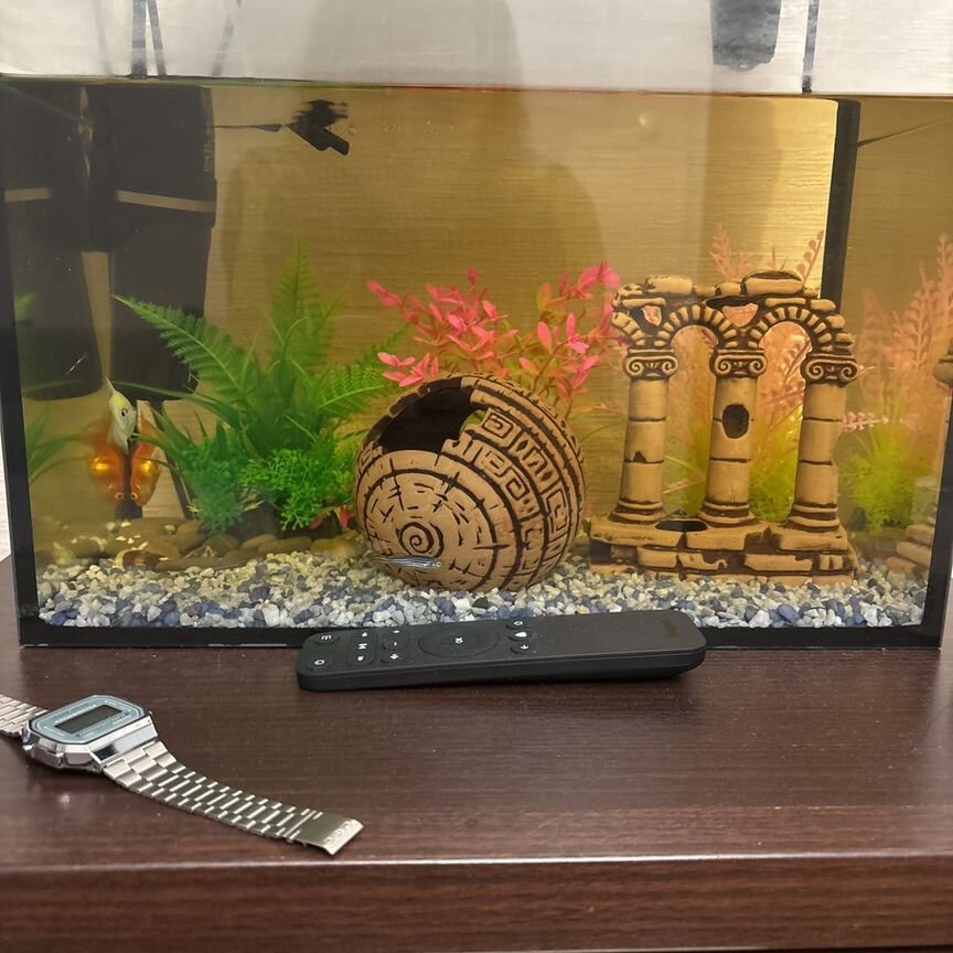 Авариум и рыбы