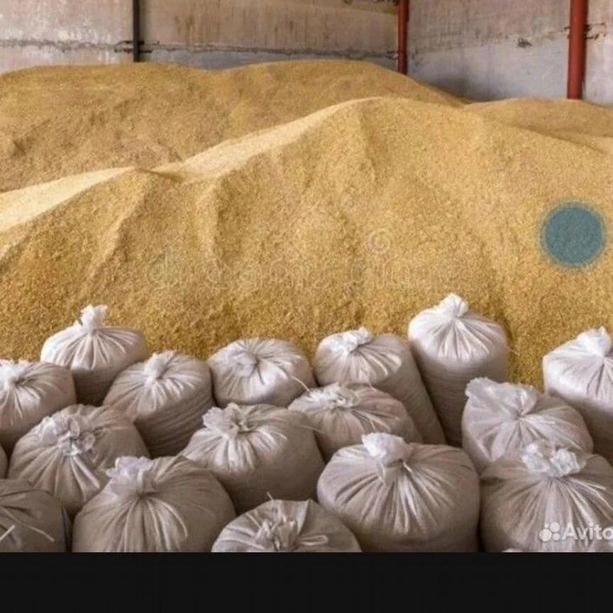 Зерно пшеница, семечки