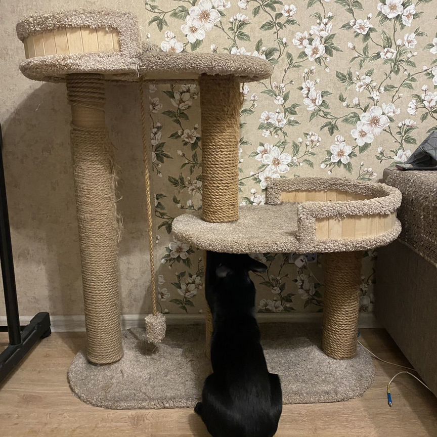 Когтеточка бу