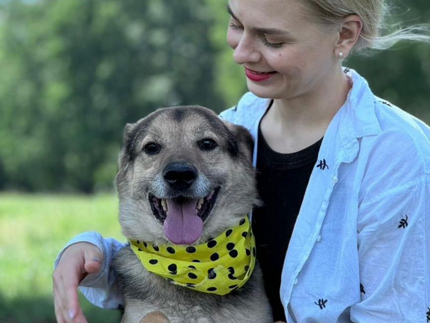 Яша - пес из приюта