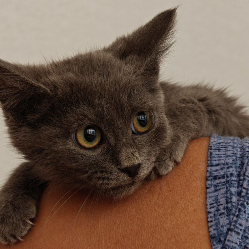 Малышка Грейс