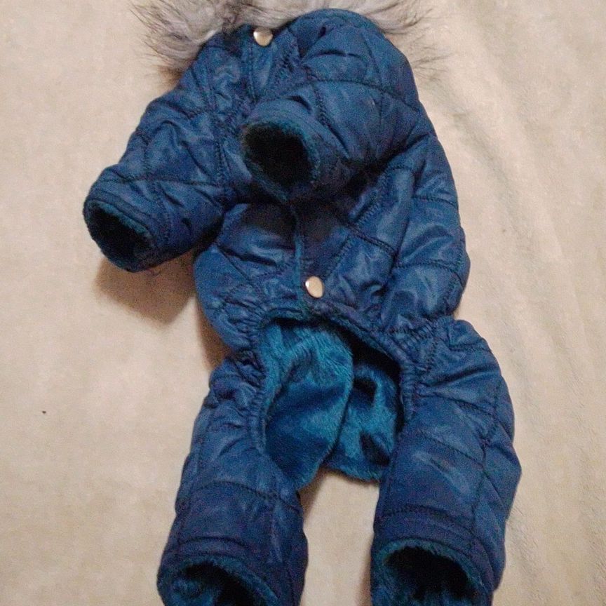 Одежда для собак