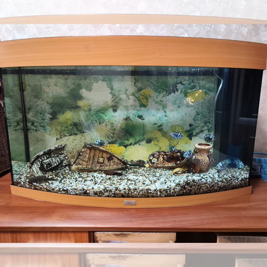 Аквариум с тумбой juwel 180 литров