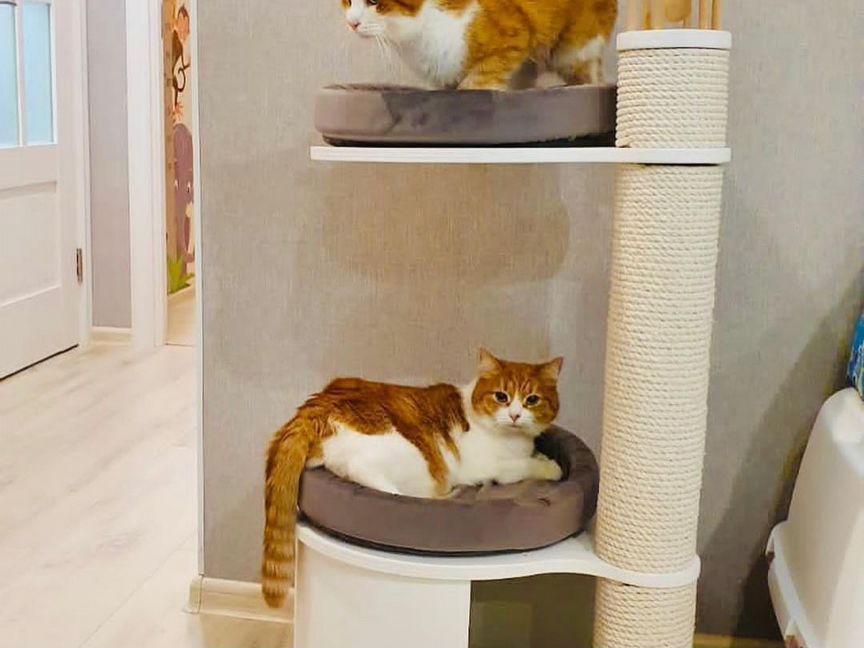 Когтеточка домик для кошки