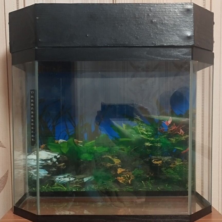 Аквариум