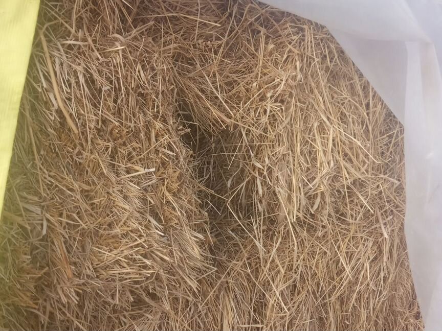 Сено в квадратных тюках