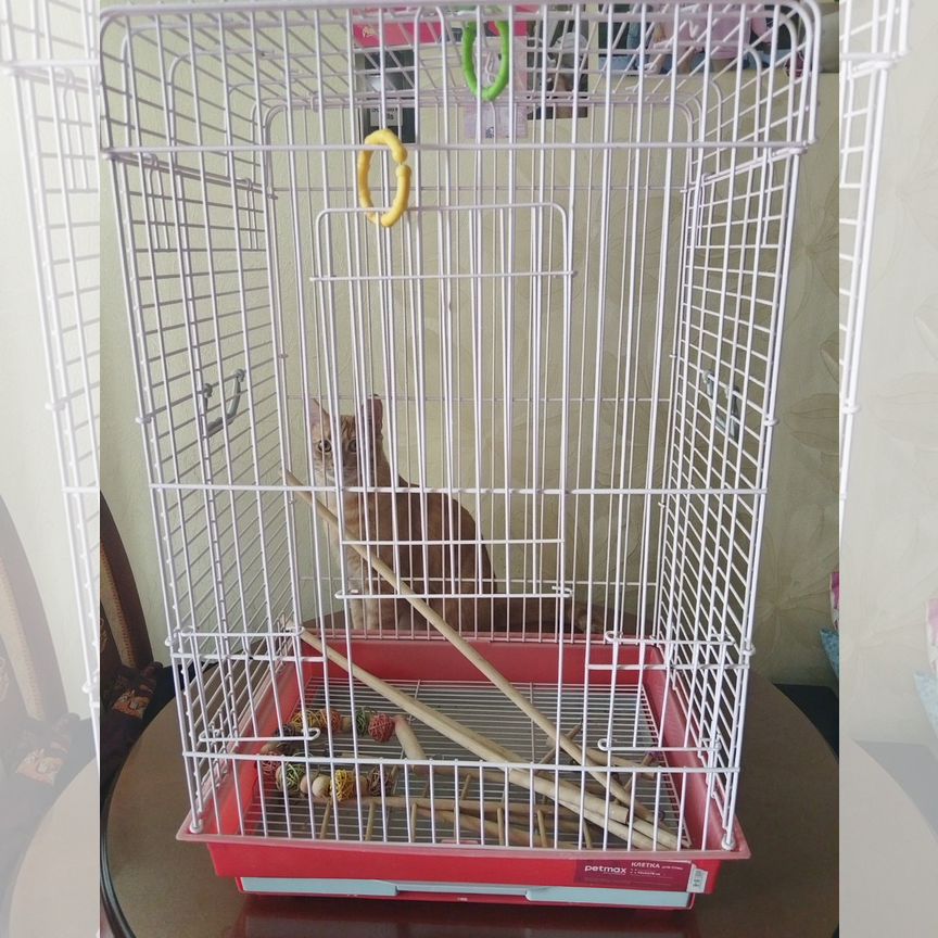 Продам клетку для птиц