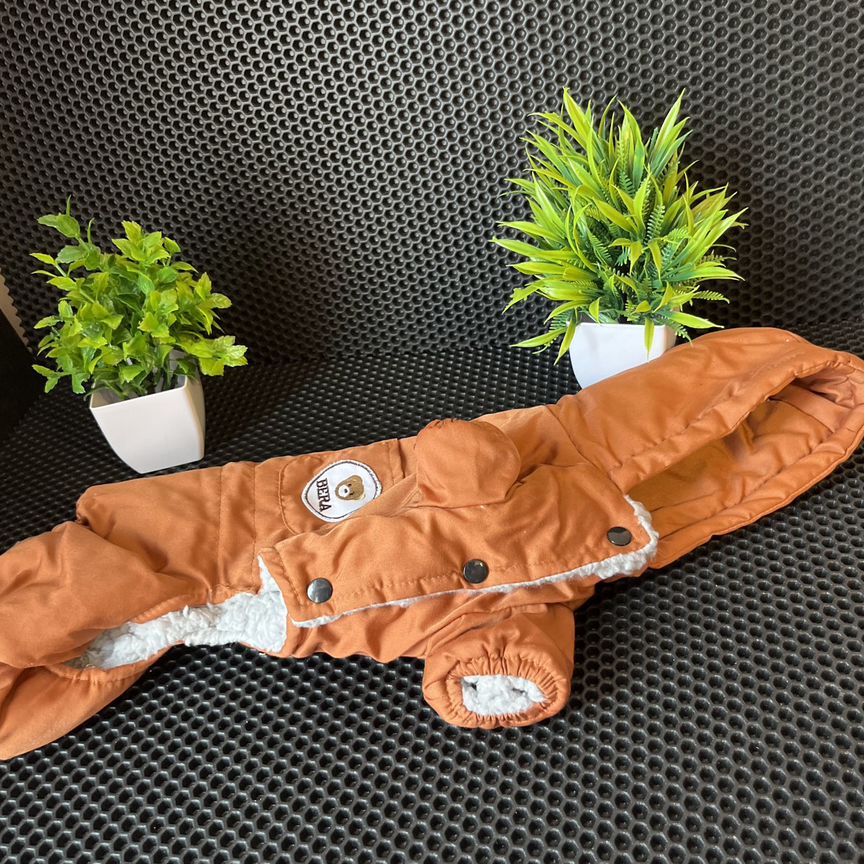 Одежда для собак