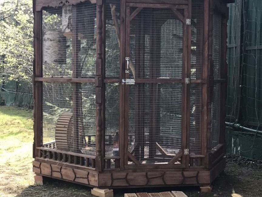 Вольер для белок, енотов