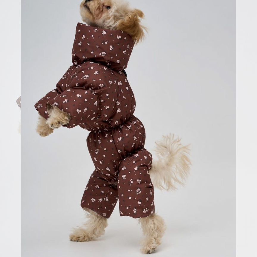 Одежда для собак