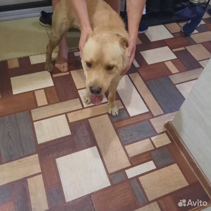 Кто потерял друга