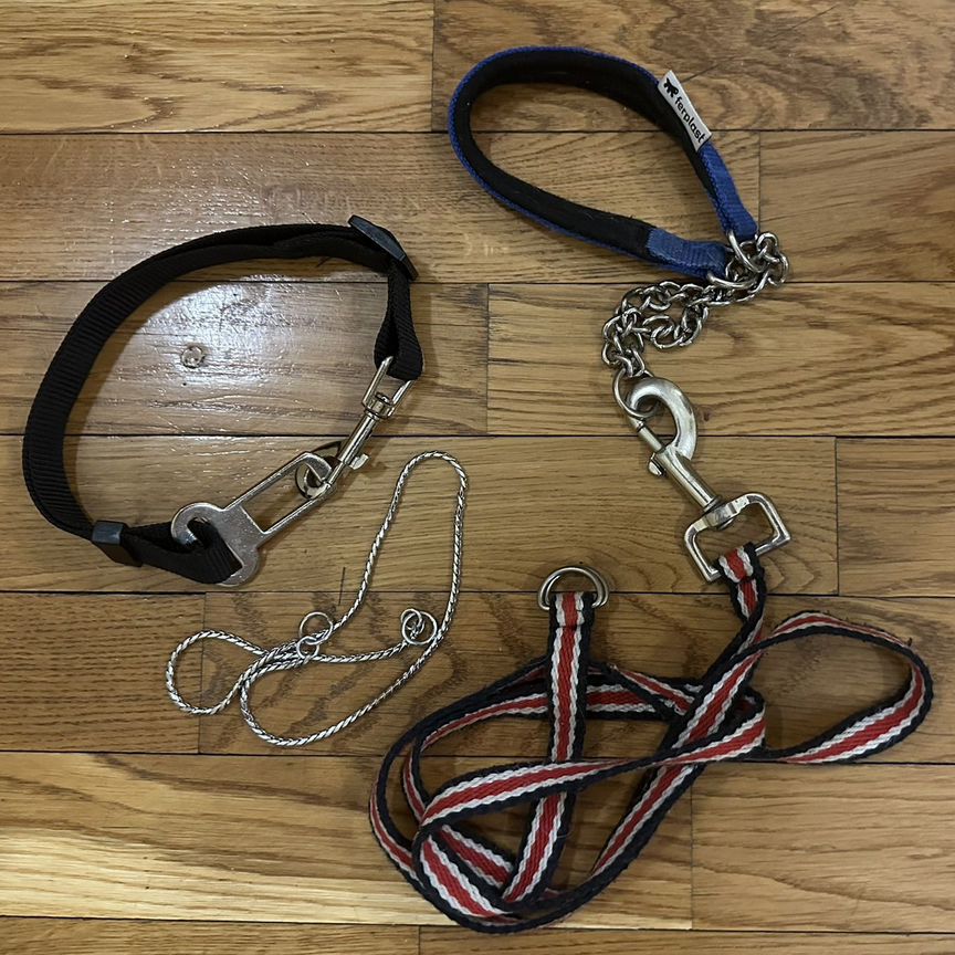 Ошейник-ринговка