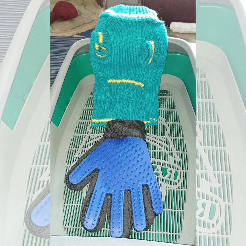 Набор для кота,кошки