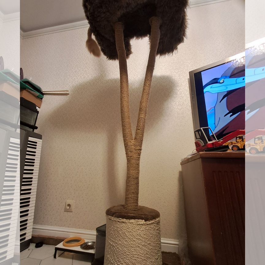 Когтеточка для кошек с лежаком