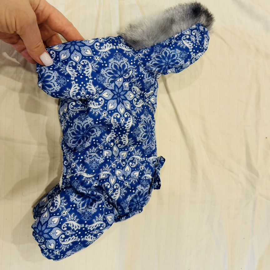 Одежда для маленьких собак