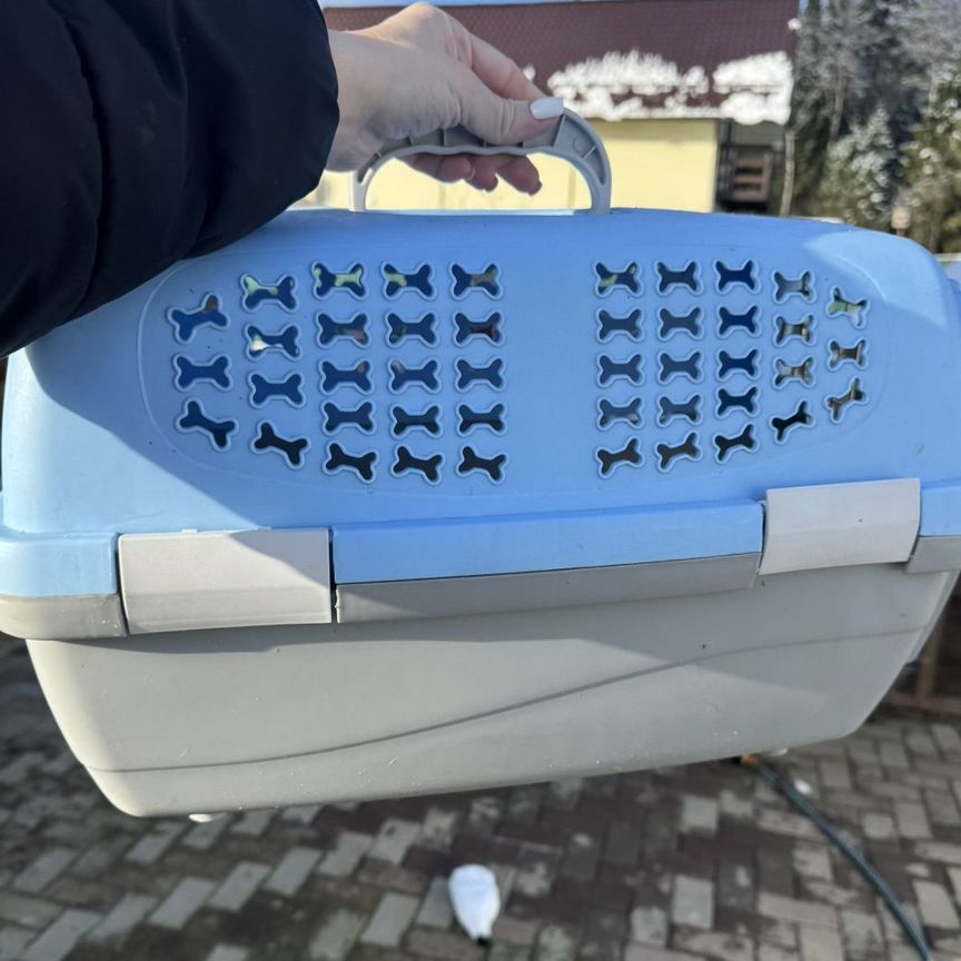 Переноска пластиковая бу