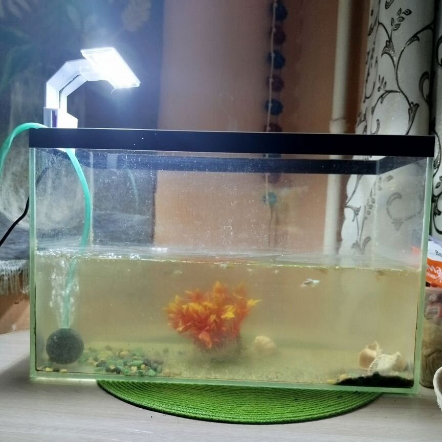 Аквариум с рыбками