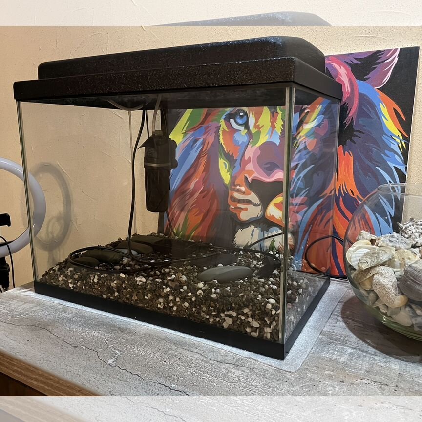 Аквариум 25-30 литров