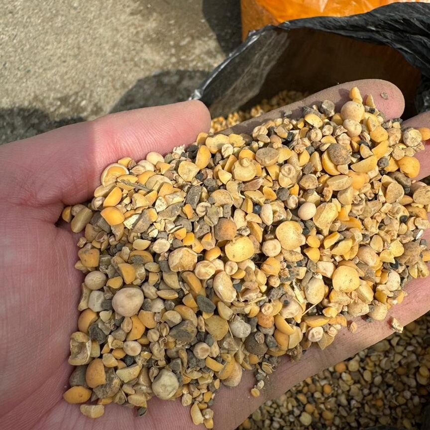 Отх горох половинки