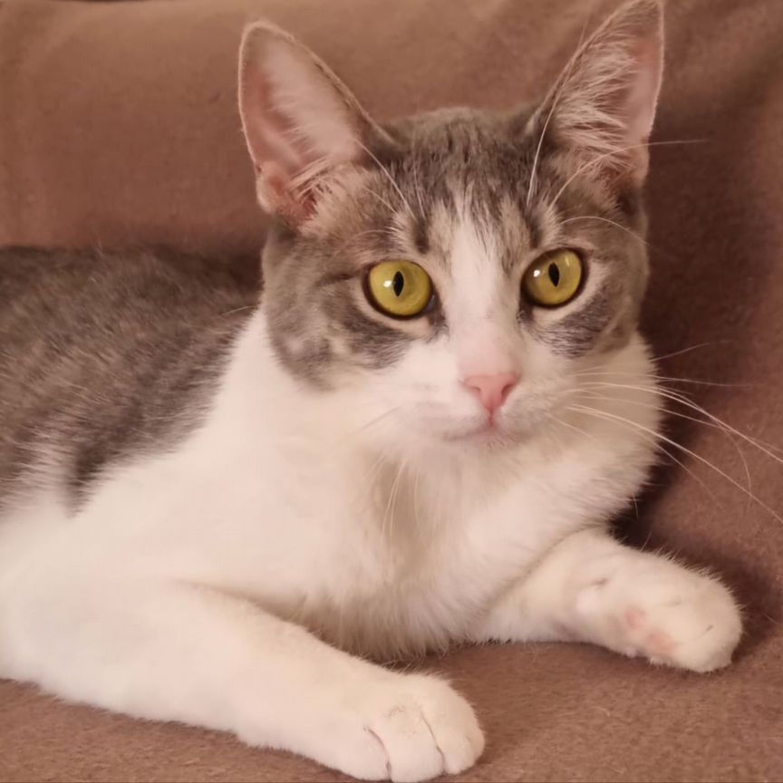 Лею никто не замечает