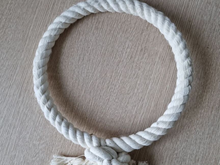 Кольцо для птиц