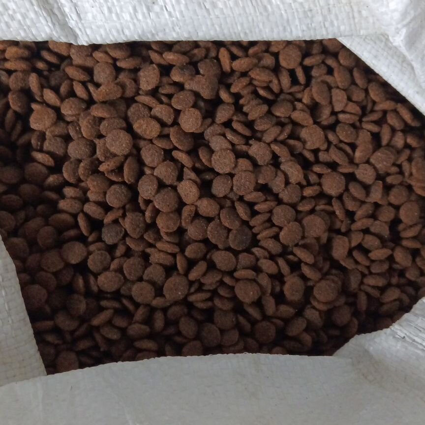 Корм для собак и кошек