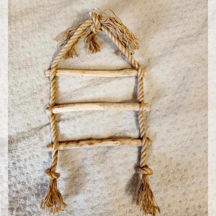 Лесенка для попугаев-стенд